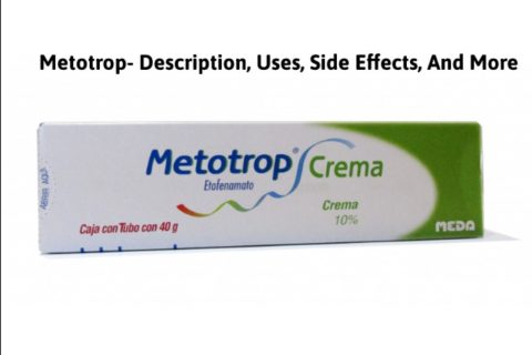 Why Should You Use CBD for Seizures in Dogs?