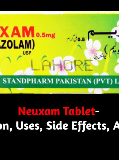 Explore the knowledge of nature and enjoy better health