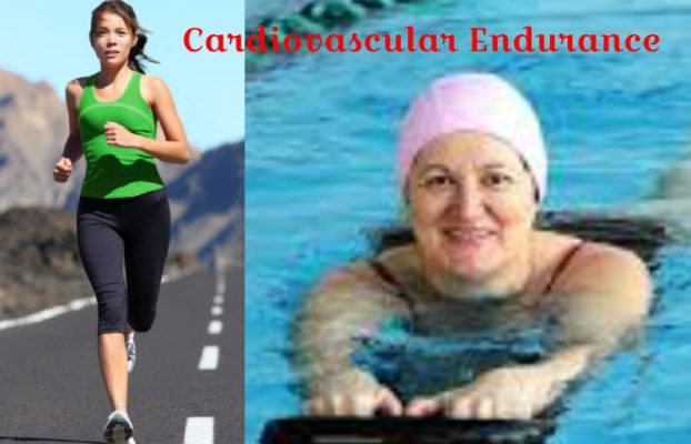 What Is Health Related Fitness Components Of Physical