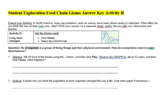 Food Chain Gizmo Answer Key: All The Answers You Need